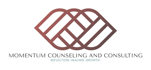 Client Portal for Momentum Counseling and Consulting PLLC | Momentum Counseling and Consulting ...
