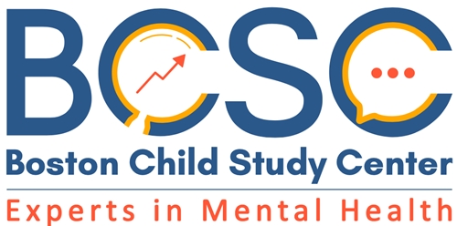 Log In | Boston Child Study Center Los Angeles | TherapyPortal